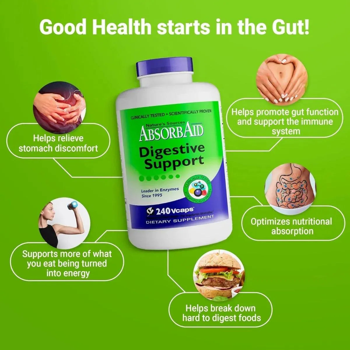 AbsorbAid Digestive Enzymes 240 Capsulas – The Red Vitamin MX