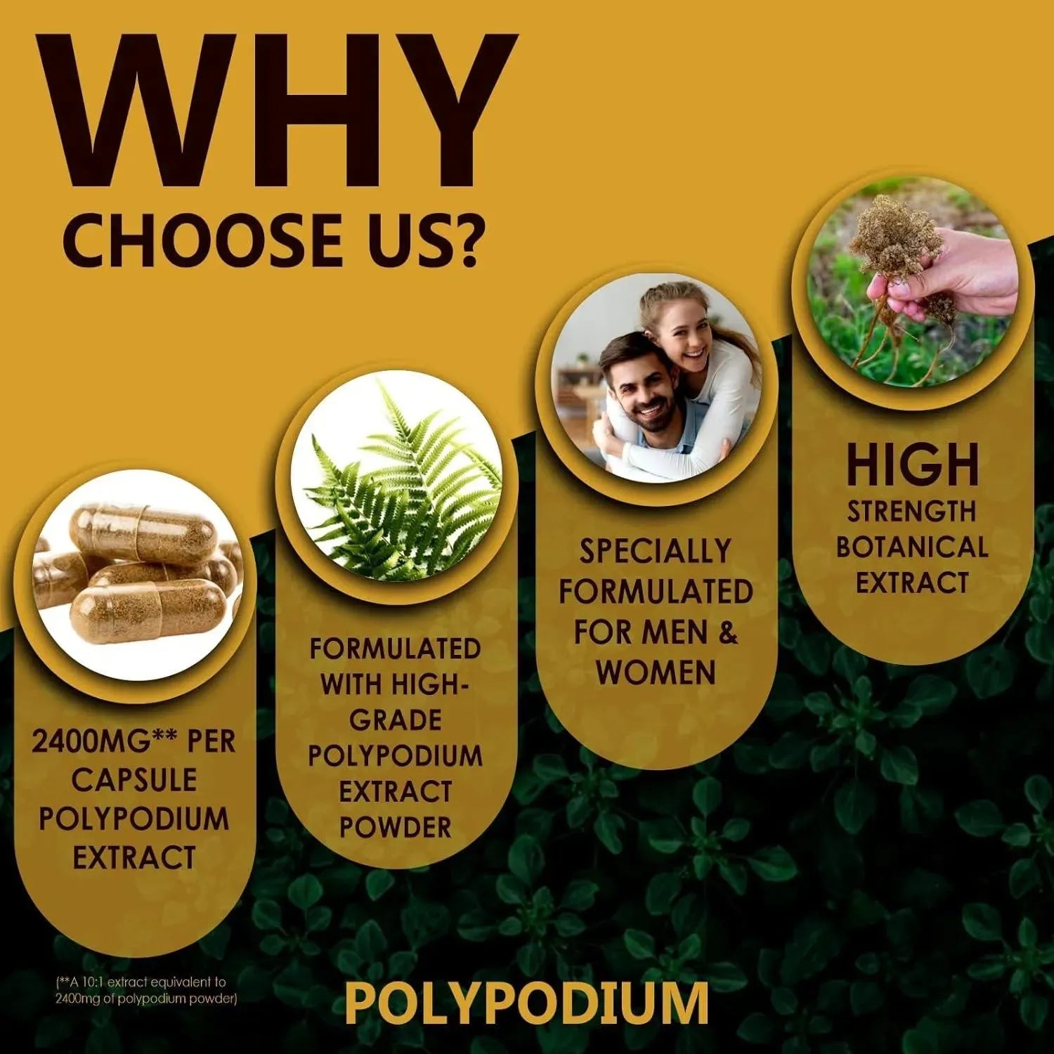 Earth Organic Polypodium Leucotomos Extract 2400Mg. 120 Capsulas – The ...